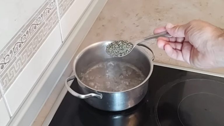 Fai bollire l'origano prima di andare a letto, lo fanno tutte le ...