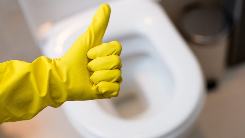 WC super pulito, l'ingrediente naturale di cui non potrai fare piu a meno