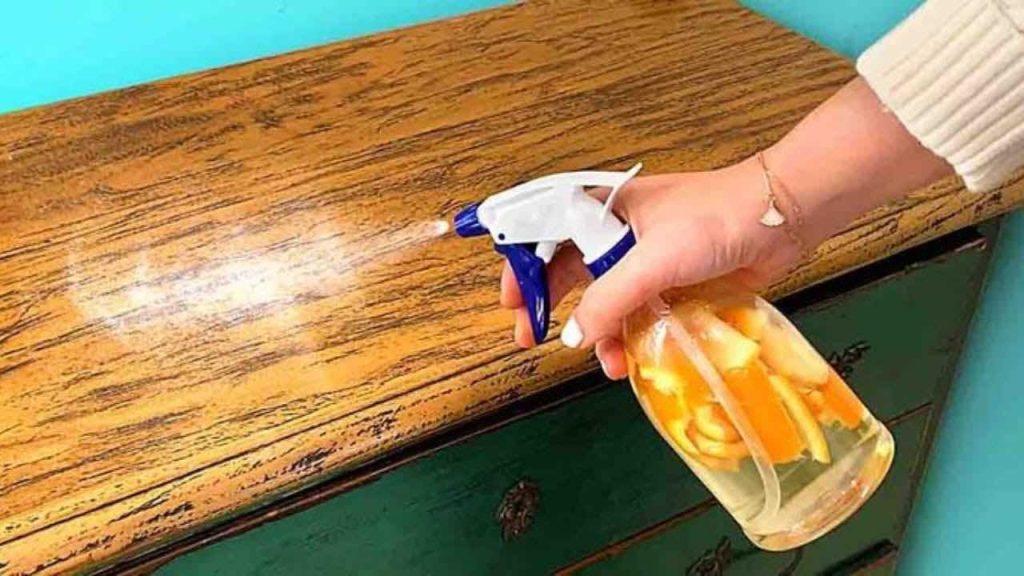 Polillas en muebles de madera, cómo deshacerse de ellas de inmediato ...