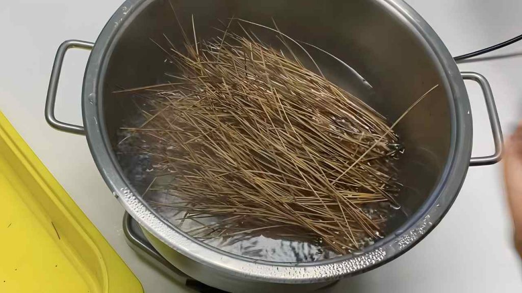 Prendi dei rami e mettili a bollire: riciclo straordinario con quello ...