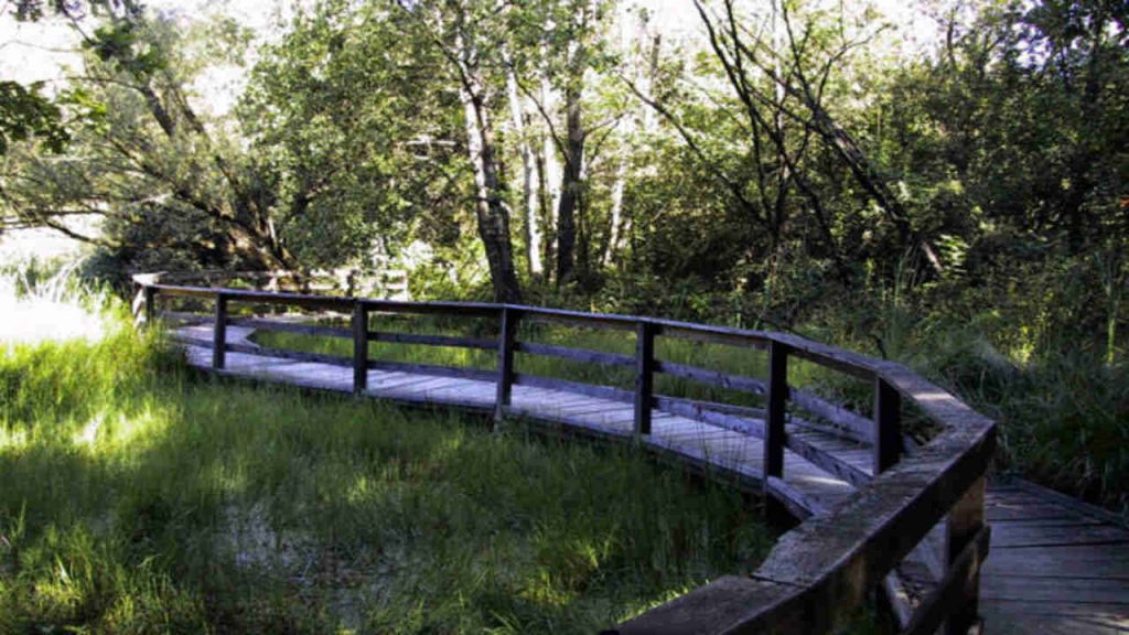 I parchi più belli da visitare in Lombardia